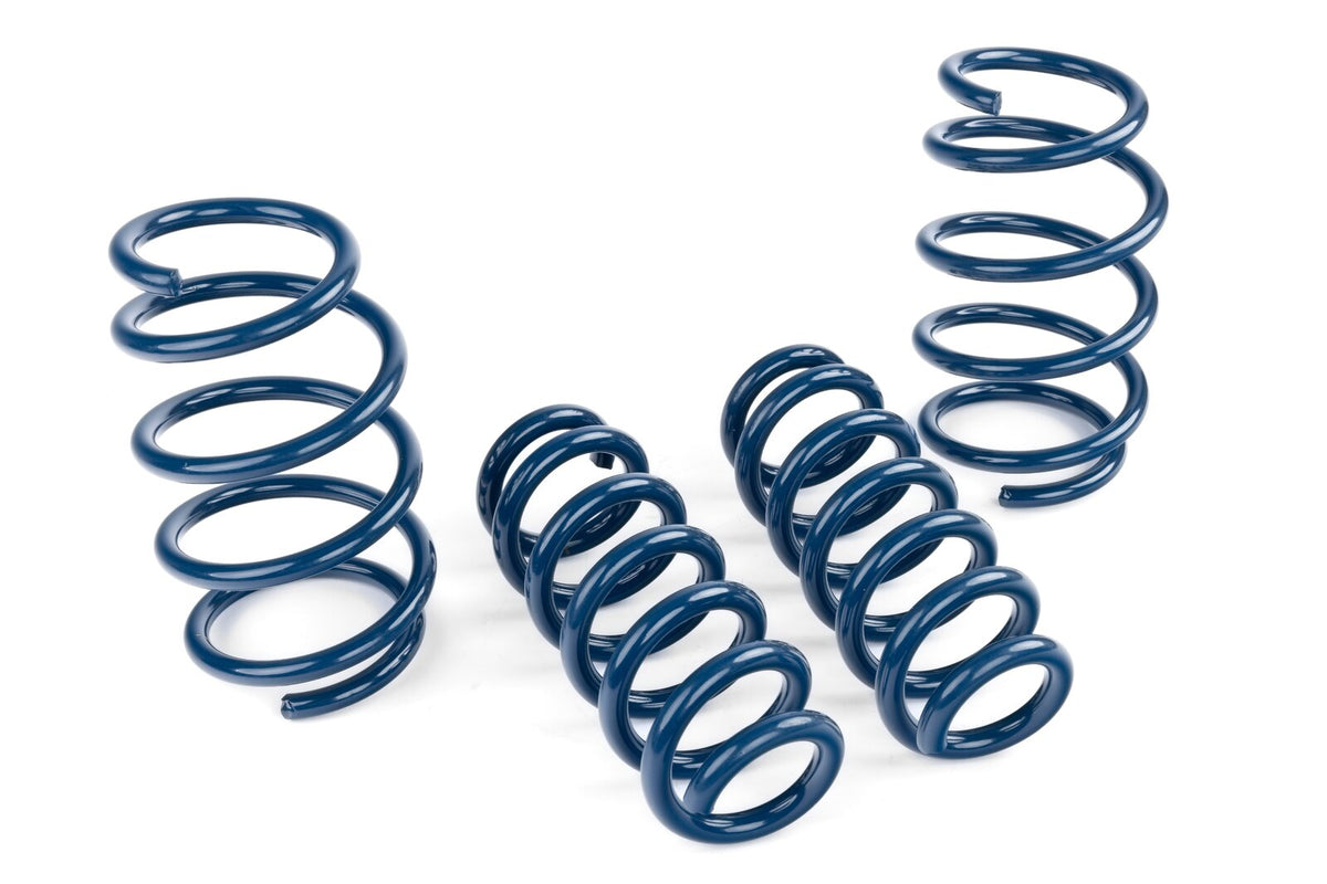 Dinan Performance Spring Set D100-0938 | Pro Speed Racing